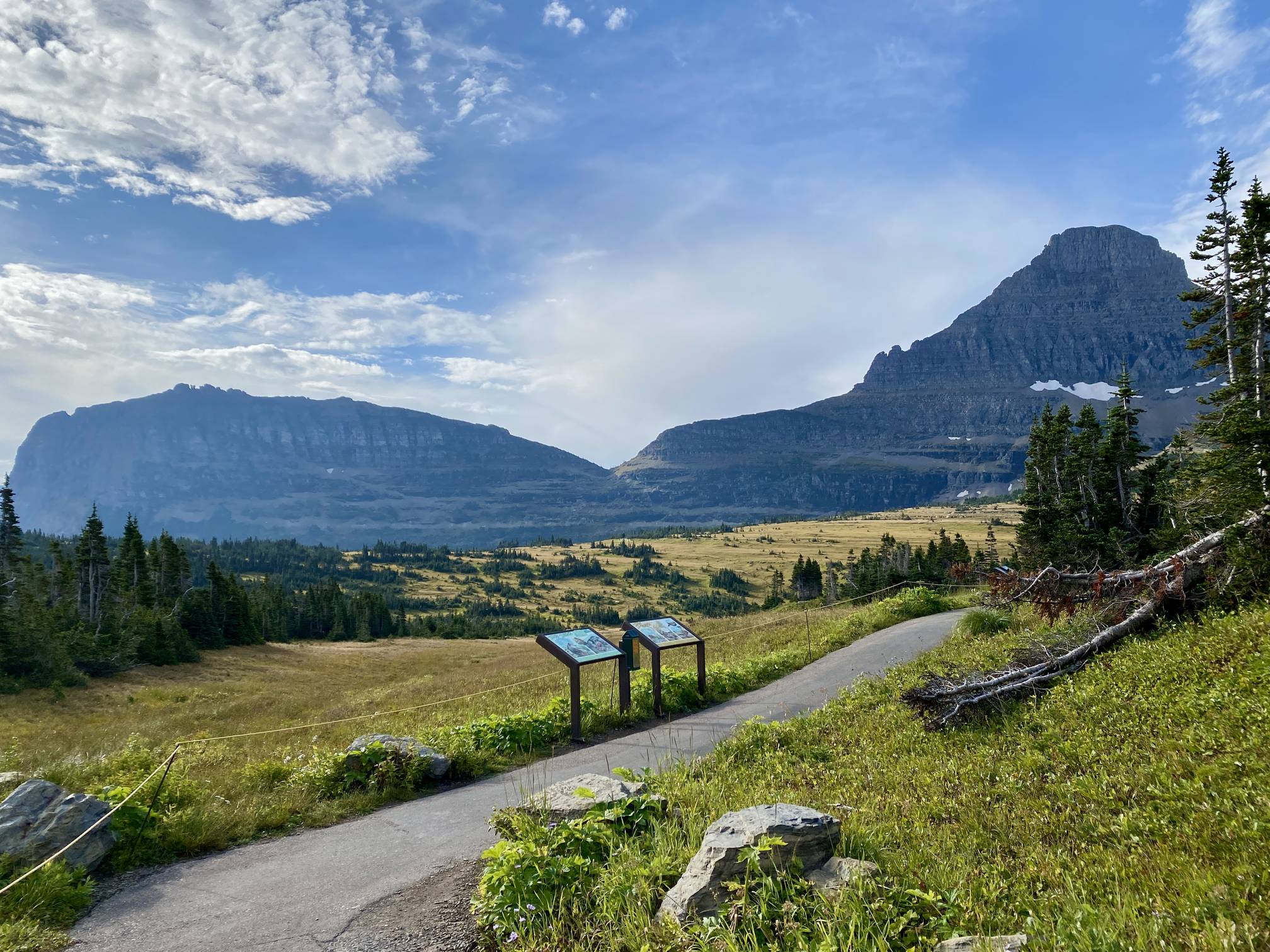 Logan Pass Accessible Loop - Glacier NP, MT | MyHikes